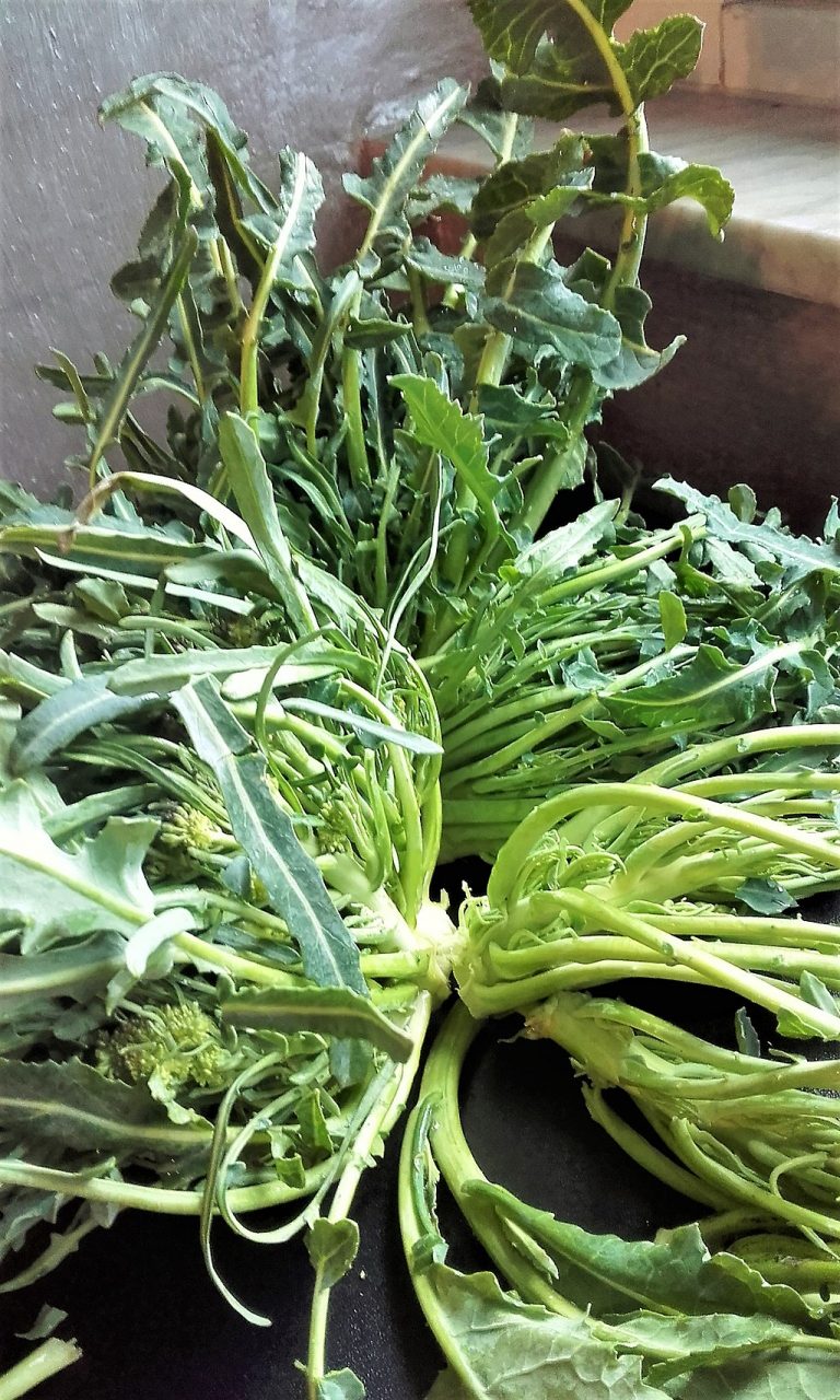 Broccolo Fiolaro di Creazzo - Prodotti tipici e specialità del veneto