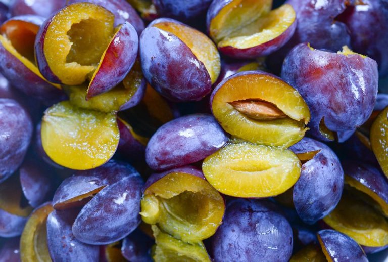 Liquore PRUGNA - Prodotti tipici e specialità del veneto